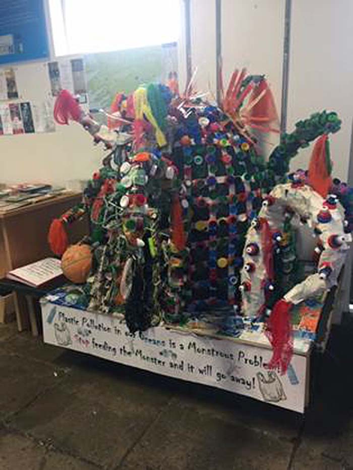 St Columbas Girls National School Win ‘Best Overall Project’ in the ...